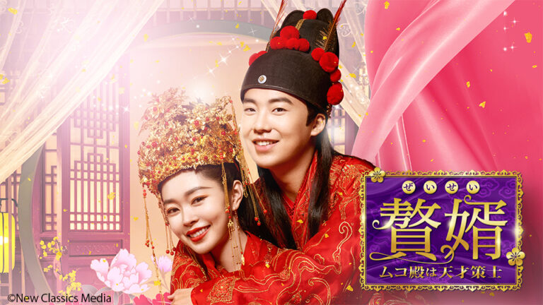 中国ドラマが面白くなってて衝撃を受けた！ 贅婿[ぜいせい]～ムコ殿は天才策士～ | TUGUMI-blog